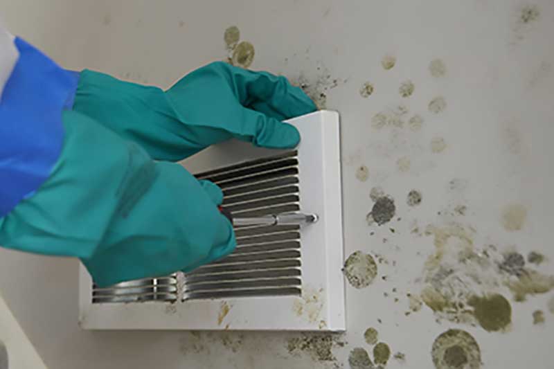 Mould Testing - Dynamic EHS Consulting Inc